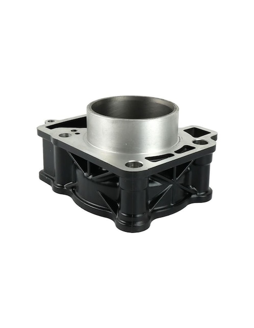 Cilindro con pistón Roda 5